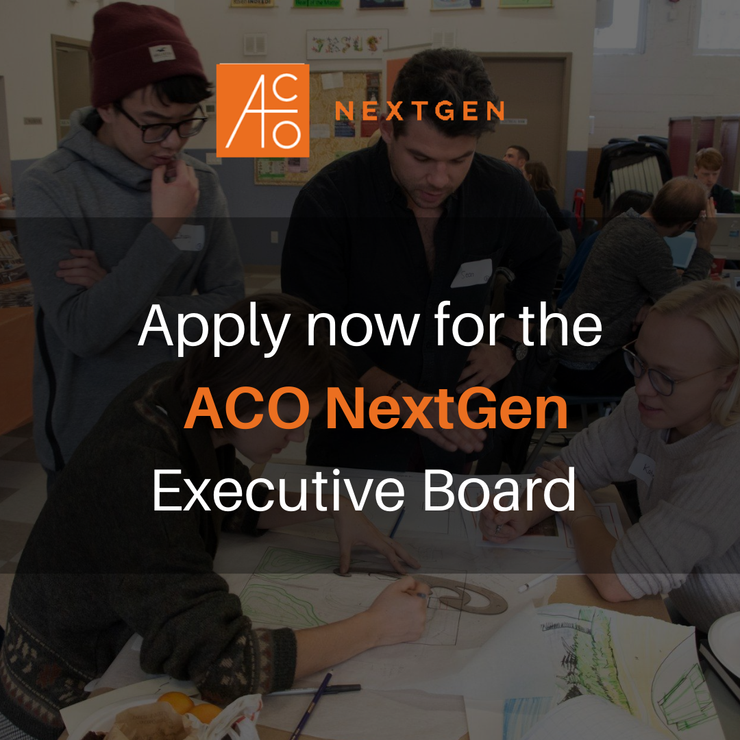 Call for ACO NextGen Executives: 2020-2022 – ACO NextGen